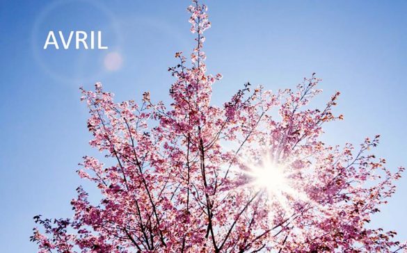 OU PARTIR EN AVRIL ? - Blog voyage - Chouette World