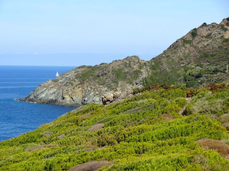 VISITER LE CAP CORSE : le tour en 1 ou 2 jours - Blog voyage - Chouette ...