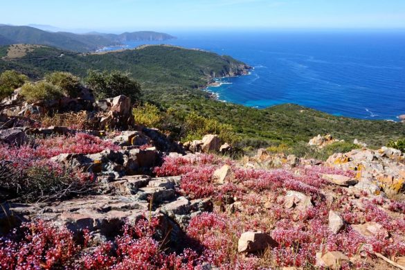 15 JOURS EN CORSE : ITINERAIRE 2 SEMAINES – Blog voyage – Centre Europe ...